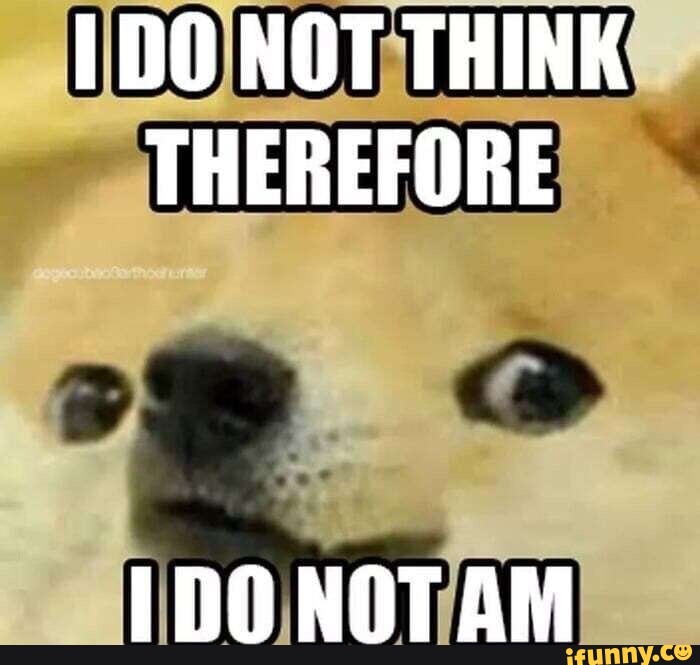 Notam memes. Best Collection of funny Notam pictures on iFunny