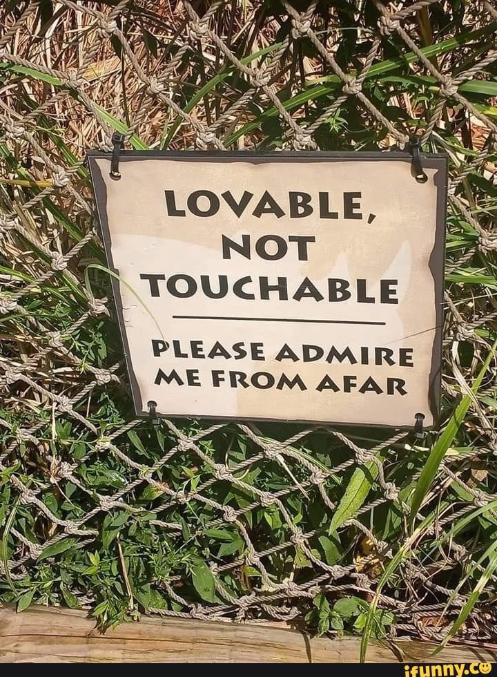 Touchable memes. Best Collection of funny Touchable pictures on iFunny