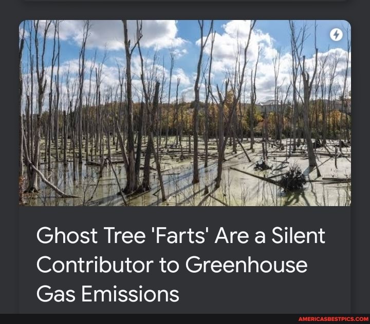 Ghost Tree 'Farts' Are a Silent Contributor to Greenhouse Gas Emissions ...