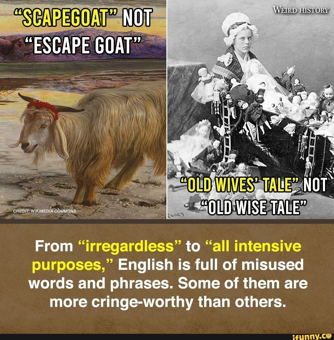 𝗖𝗼𝗺𝗺𝗼𝗻𝗹𝘆 memes. Best Collection of funny 𝗖𝗼𝗺𝗺𝗼𝗻𝗹𝘆 pictures on iFunny