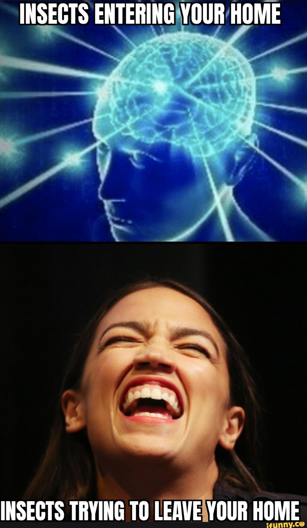 Insects memes. Best Collection of funny Insects pictures on iFunny