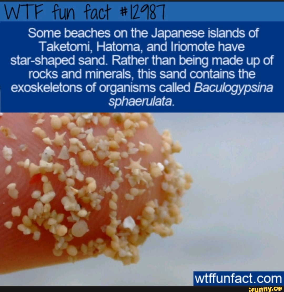 Exoskeletons memes. Best Collection of funny Exoskeletons pictures on ...