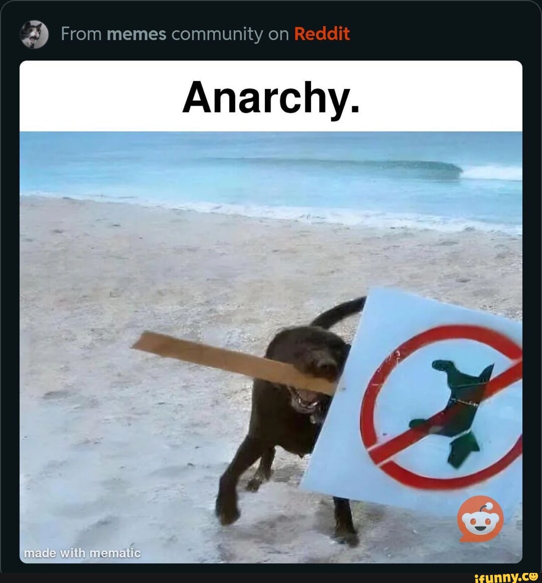 Eco-fashism is based cc: talk dirty TikTol @hilathes - iFunny