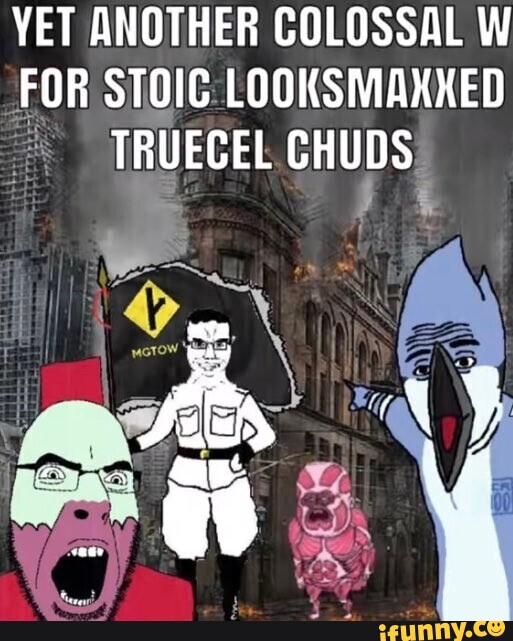 YET ANOTHER COLOSSAL W FOR STOIC: LOOKSMAXXED TRUECEL - iFunny