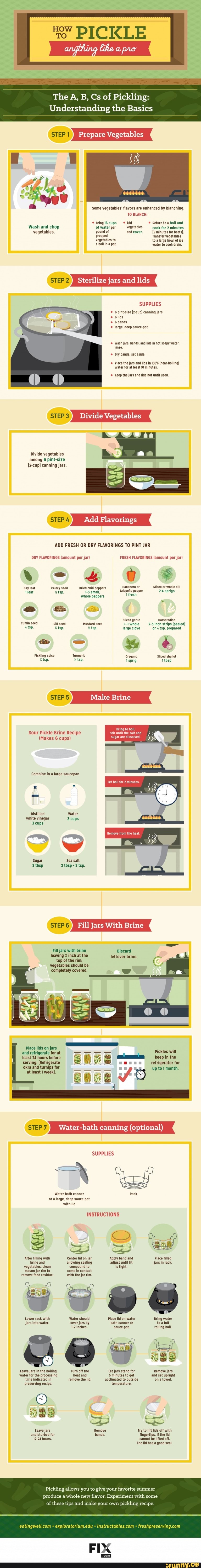 PICKLE any The A, B, Cs of Pickling: Understanding the Basics Prepare ...