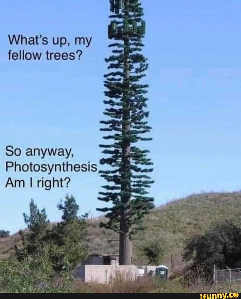 Photosynthesis memes. Best Collection of funny Photosynthesis pictures ...
