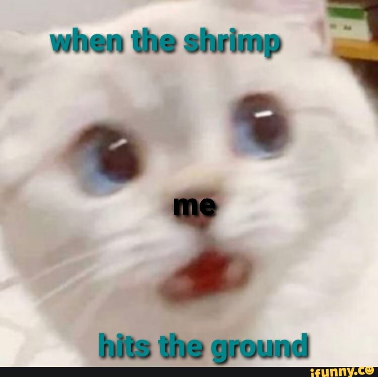 Hits the ground - iFunny