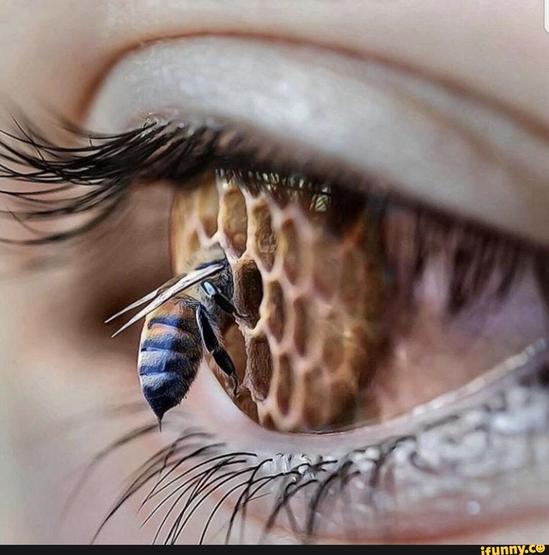 Cursed_eyeholes memes. Best Collection of funny Cursed_eyeholes ...