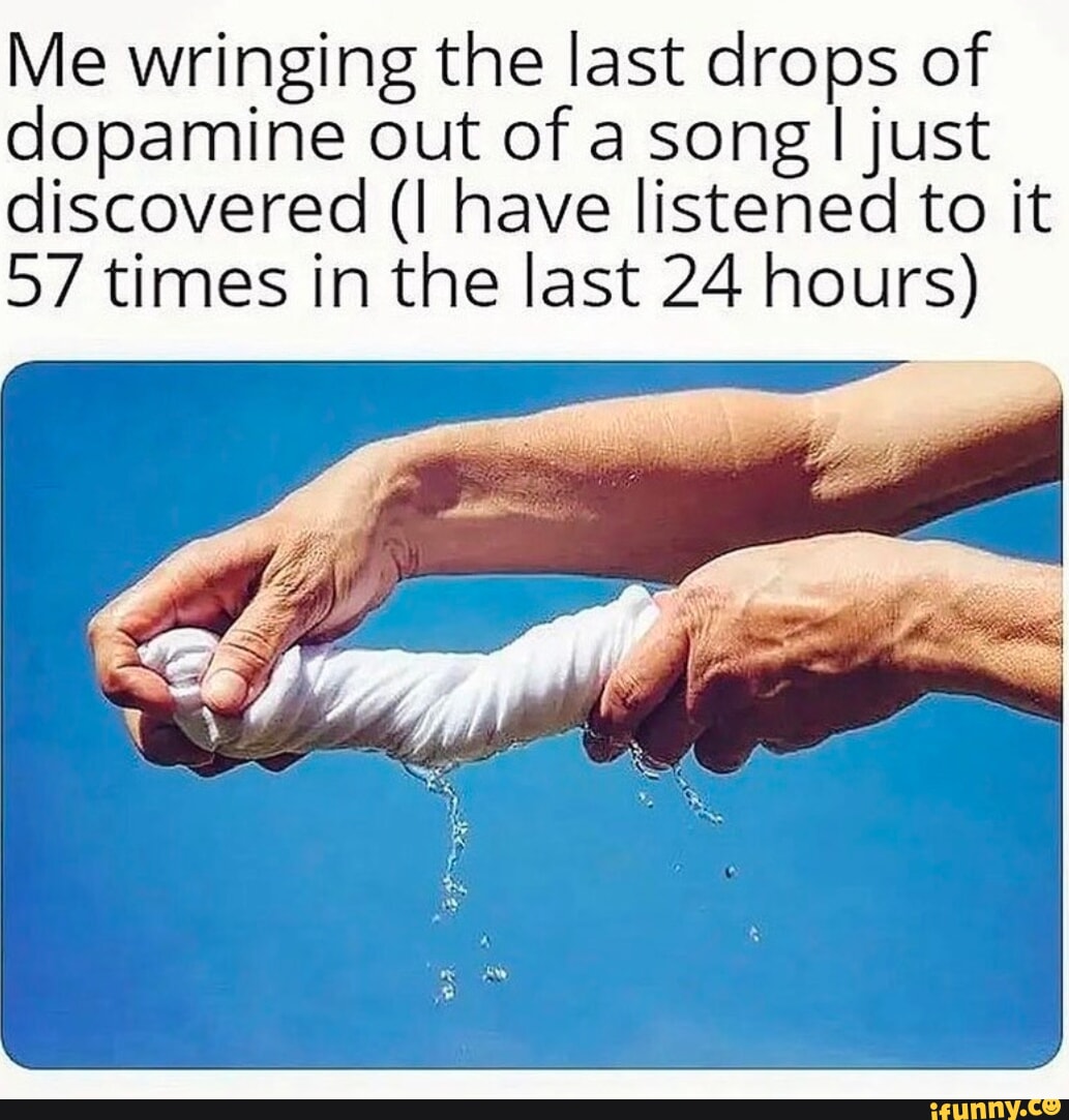Me wringing the last drops of dopamine out of a song I just discovered ...