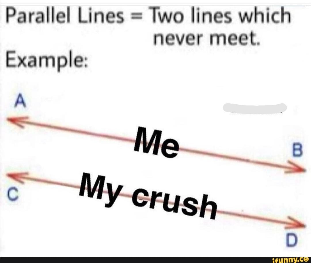 Parallel Lines = Two lines which never meet. Example: -Me__ - iFunny