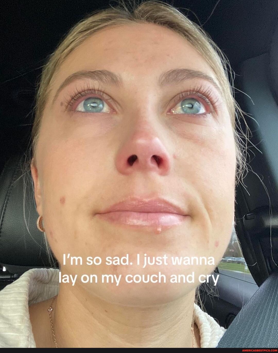 RIP 🛋️💀🤣 (📸/ @morgan_mcvey) - - #memes #meme #funny #dogsofinstagram # ...