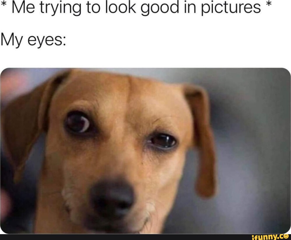 Me trying to look good In pictures * My eyes: - iFunny