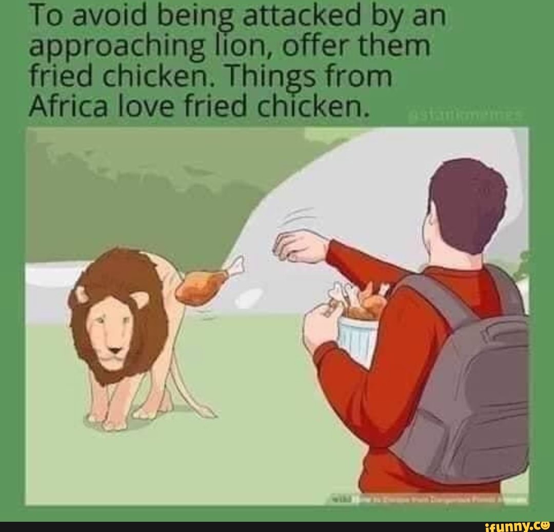 To avoid being attacked by an approaching lion, offer them fried ...