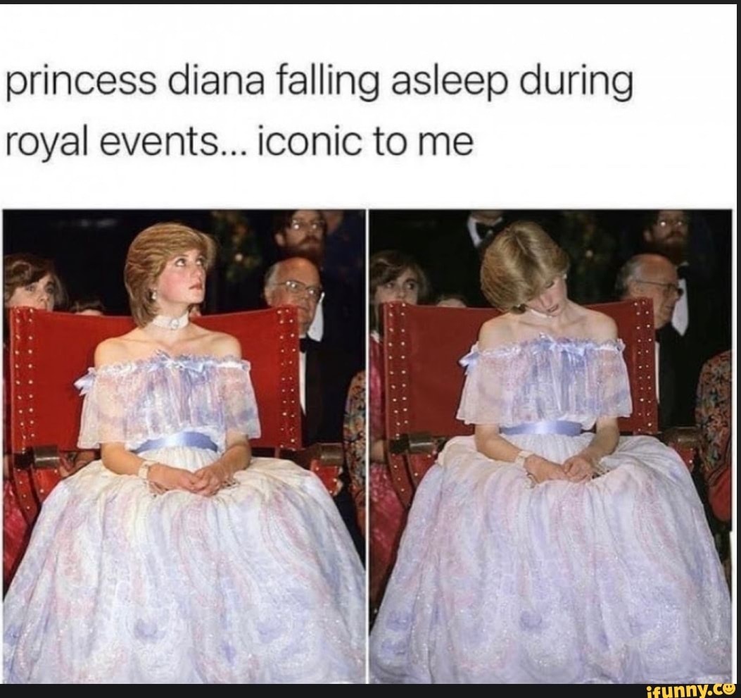 Princess diana falling asleep during royal events... iconic to me - iFunny