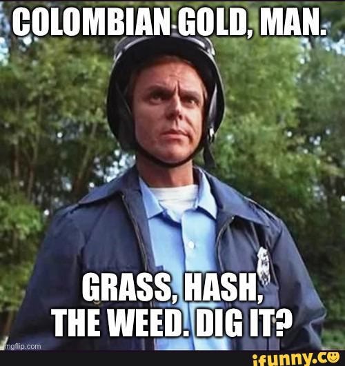 Digito memes. Best Collection of funny Digito pictures on iFunny