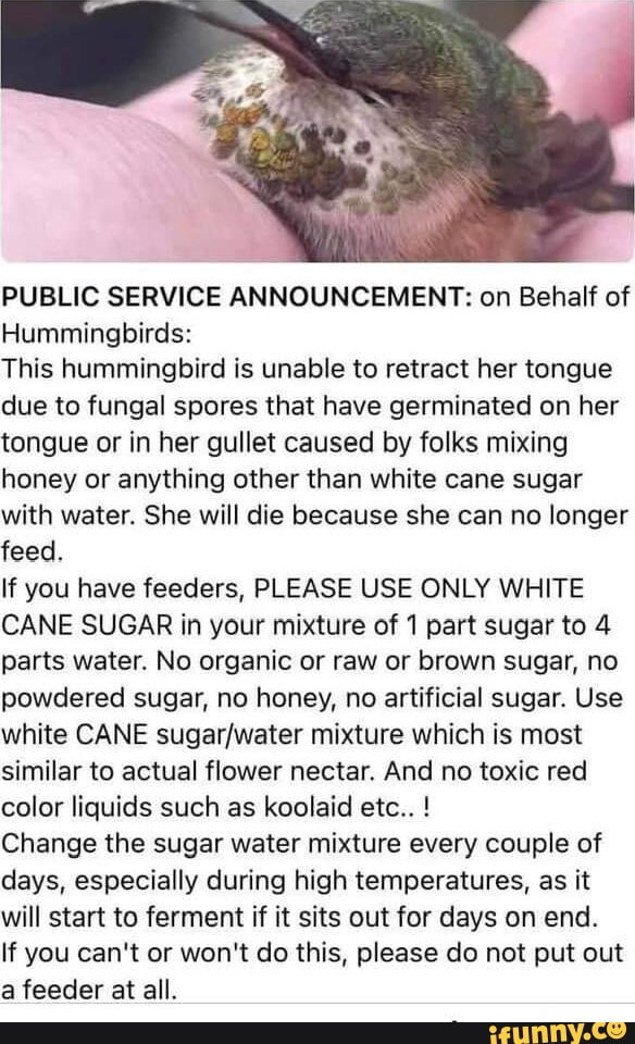 Fungal memes. Best Collection of funny Fungal pictures on iFunny