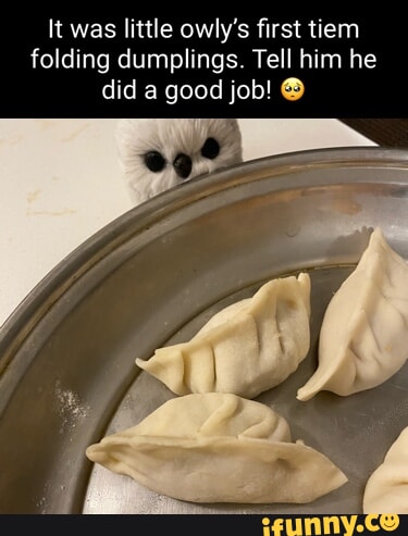 Dumplings memes. Best Collection of funny Dumplings pictures on iFunny
