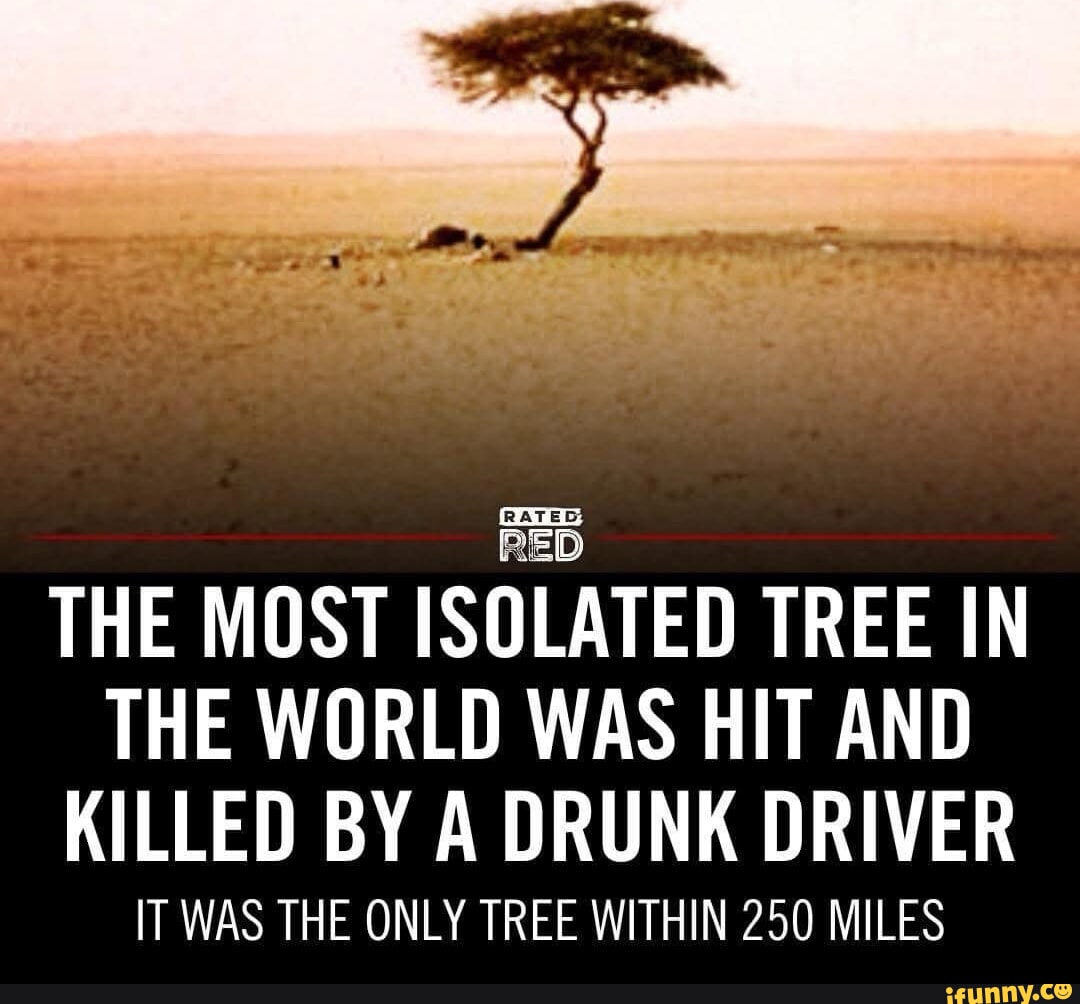 THE MOST ISOLATED TREE IN THE WORLD WAS HIT AND KILLED BY A DRUNK ...