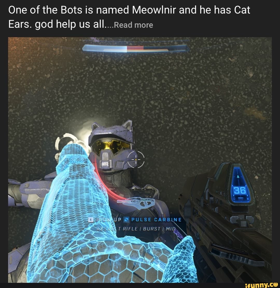 Meowlnir memes. Best Collection of funny Meowlnir pictures on iFunny