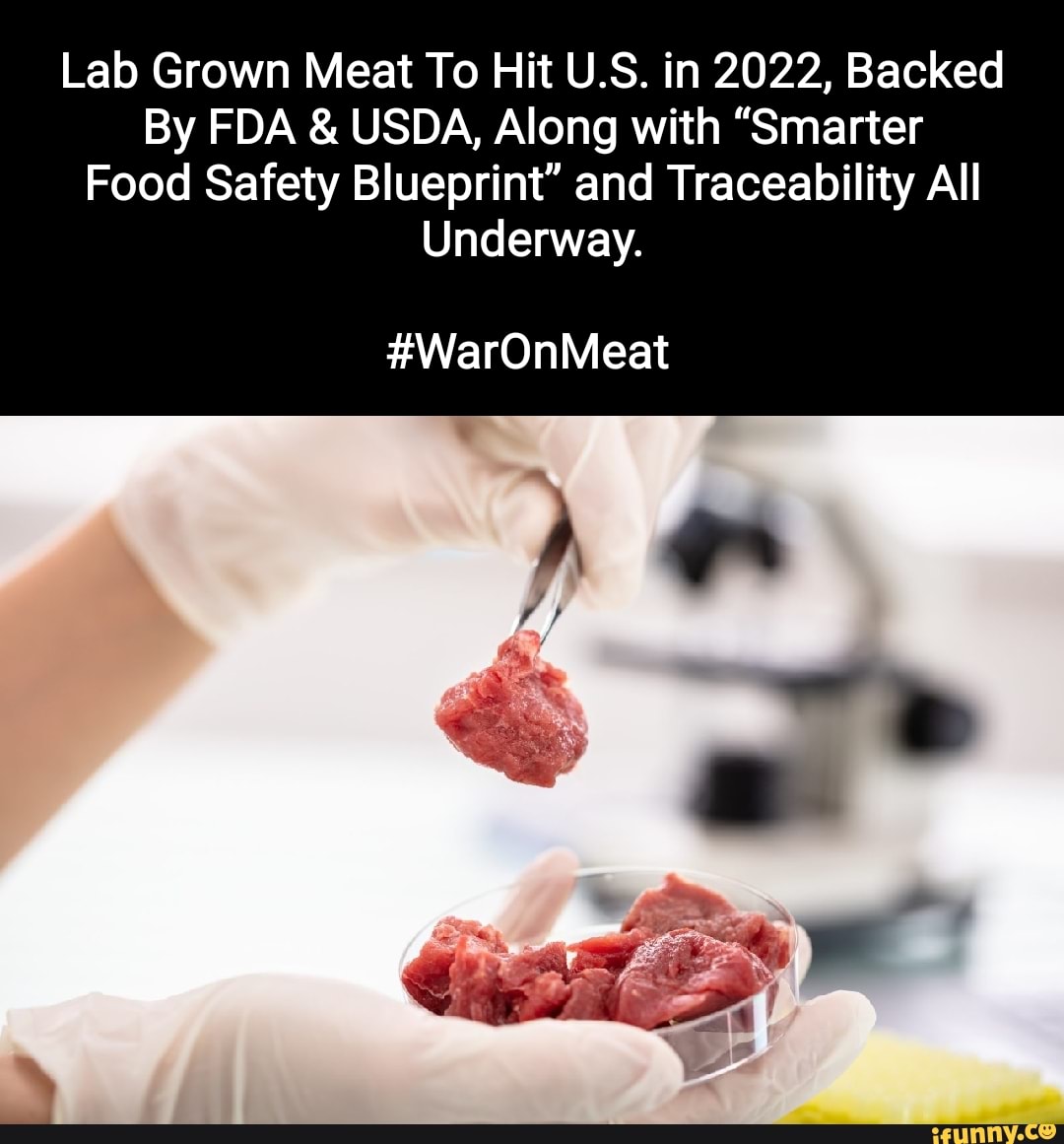 Lab Grown Meat To Hit U.S. in 2022, Backed By FDA & USDA, Along with ...