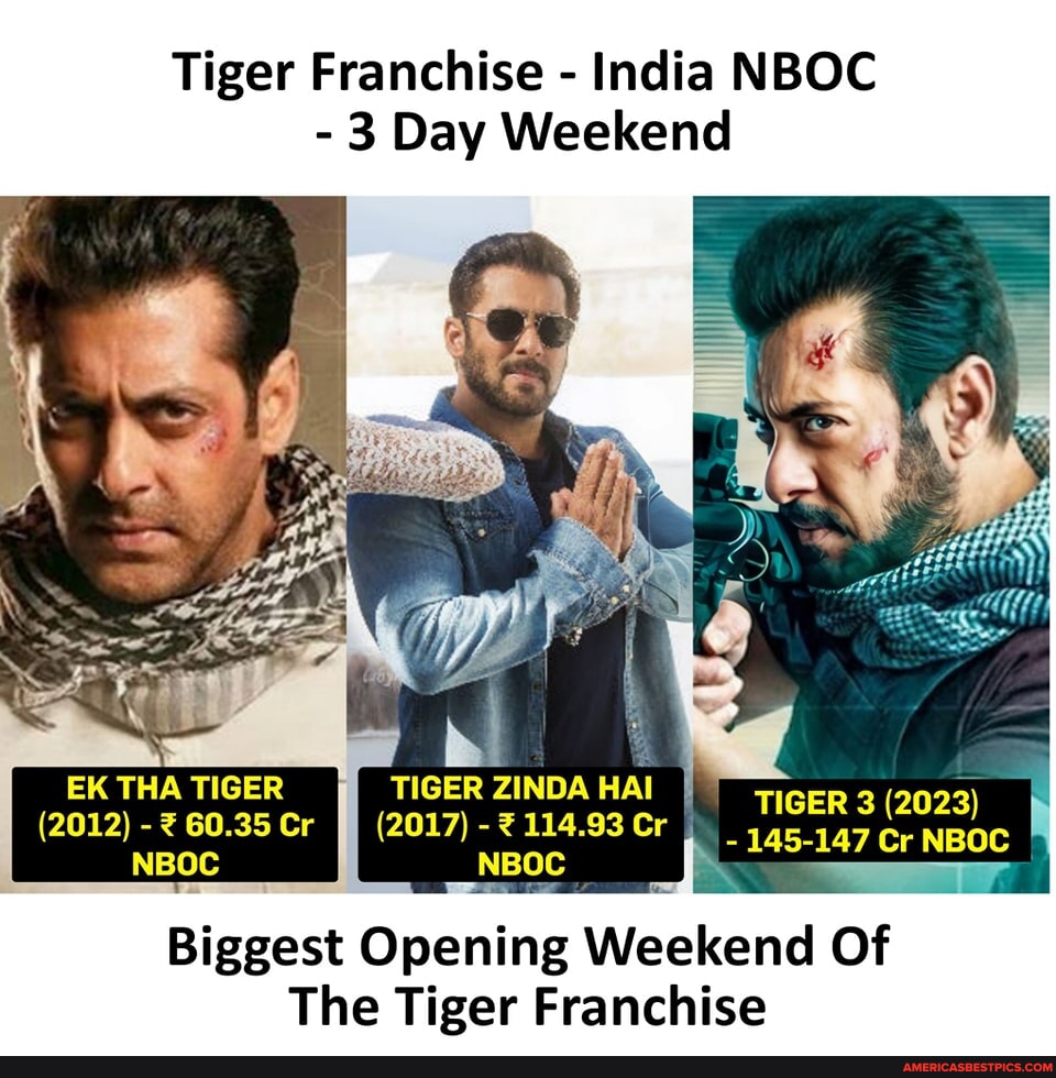 Tiger 3 is set to be a BLOCKBUSTER just like Ek Tha Tiger & Tiger Zinda ...