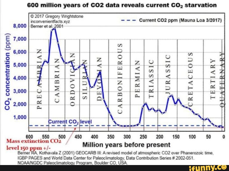 Berner memes. Best Collection of funny Berner pictures on iFunny