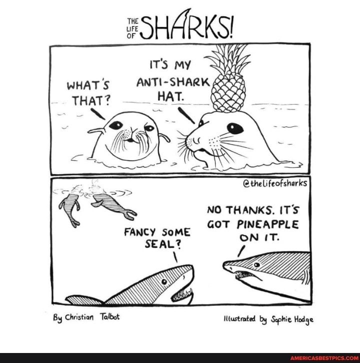 SHARKS! WHAT'S ANTI-SHARK THAT? HAT. NO THANKS. IT'S GOT PINEAPPLE ON ...