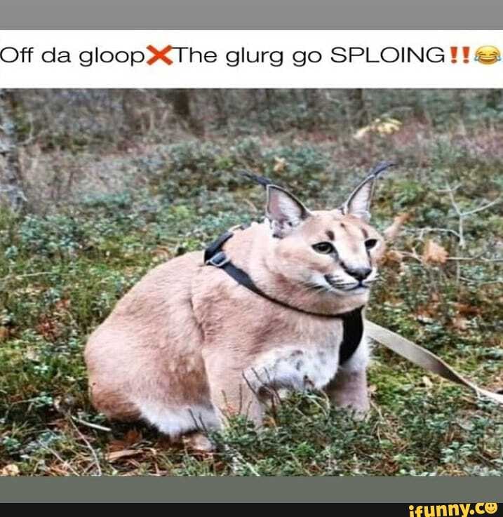 Glurg memes. Best Collection of funny Glurg pictures on iFunny