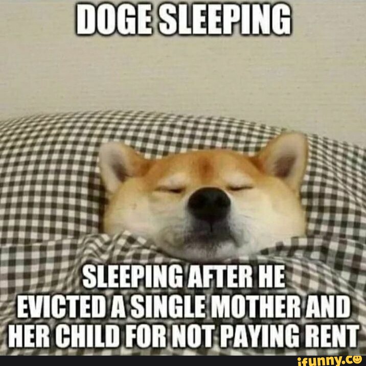 DOGE SLEEPING OLEEPING AFTER HE EVICTED A SINGLE MOTHER AND HER CHILD ...