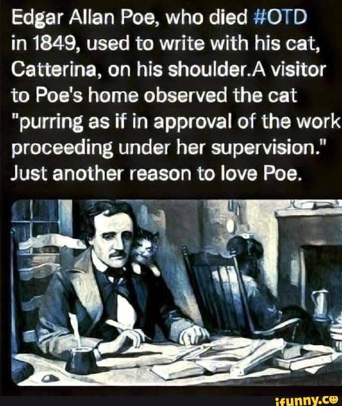 Who knew Poe was a cat guy? - Edgar Allan Poe, who died #OTD in 1849 ...