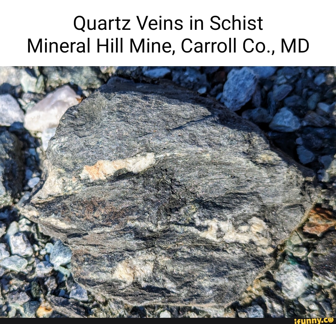 Schist memes. Best Collection of funny Schist pictures on iFunny