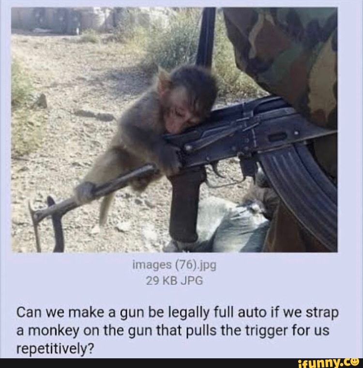 Monkey have gun - ARe (78) KB IPE Can we make a gun be legally full ...