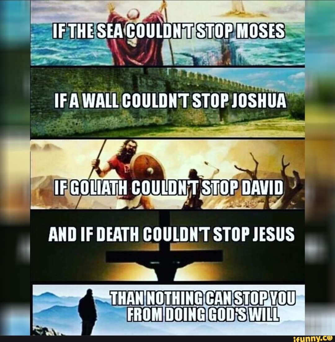 Video memes ZwCQJAy48 by TheBirdofDread: 1.0K comments - iFunny