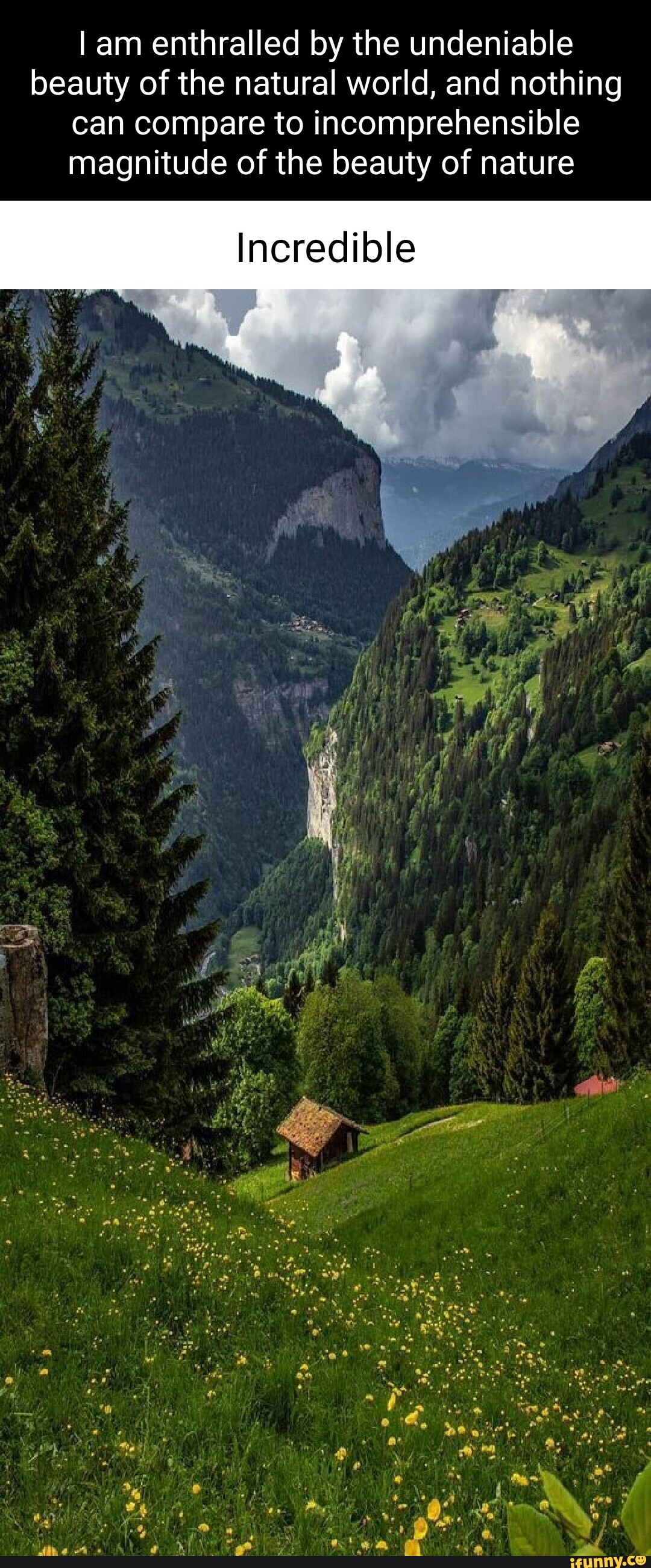 I am enthralled by the undeniable beauty of the natural world, and ...