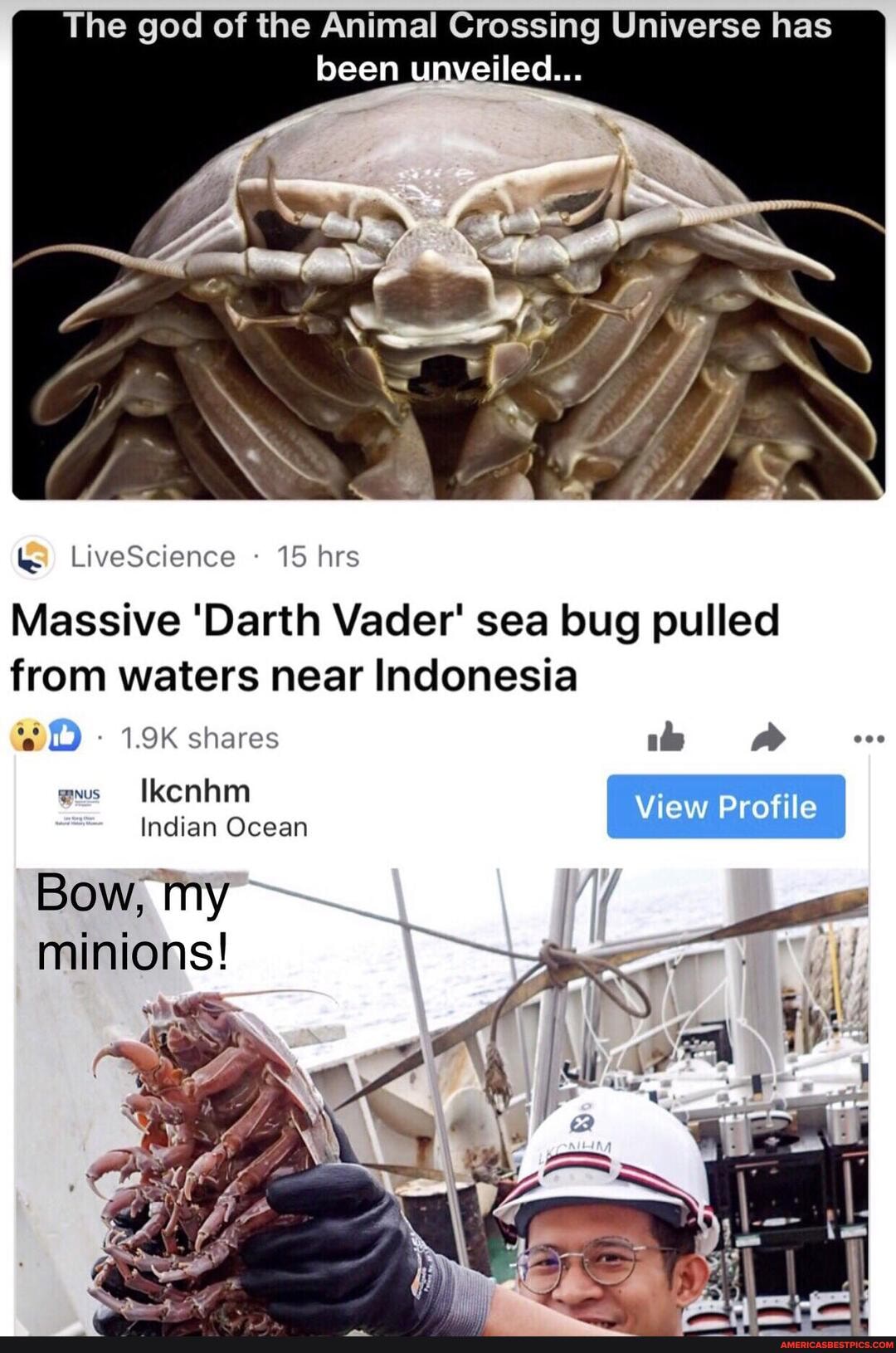 The god of the Animal Crossing Universe has been unveiled... le ...