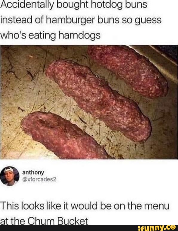 Hamdogs memes. Best Collection of funny Hamdogs pictures on iFunny