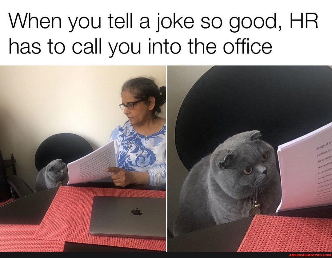 HR showing me all the memes I posted about work. - When you tell a joke ...