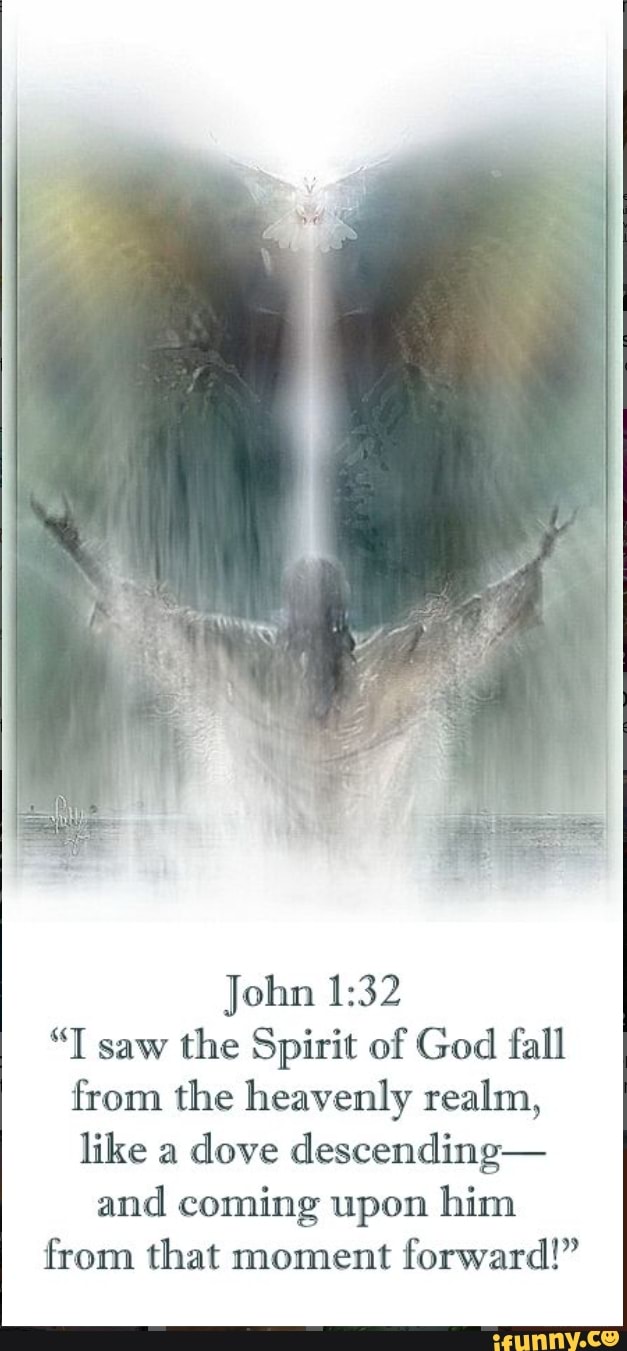 John "I saw the Spirit of God fall from the heavenly realm, like a dove ...