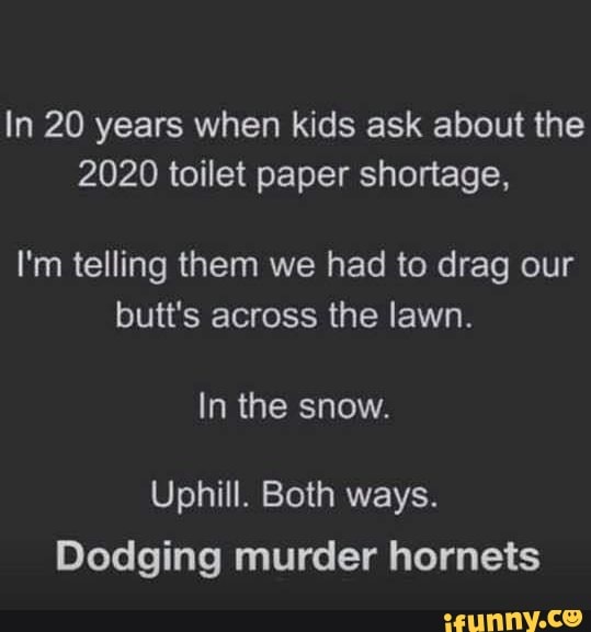 In 20 years when kids ask about the 2020 toilet paper shortage, I'm ...