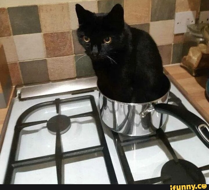 Doofy memes. Best Collection of funny Doofy pictures on iFunny