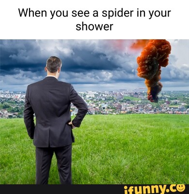 When you see a spider in your shower - iFunny