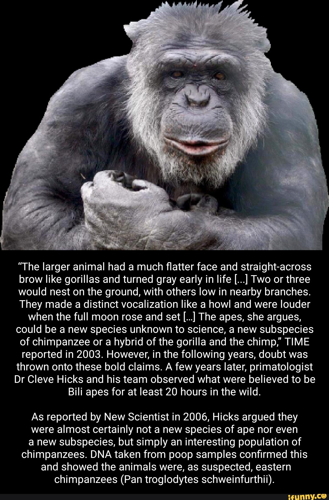 Flatter memes. Best Collection of funny Flatter pictures on iFunny