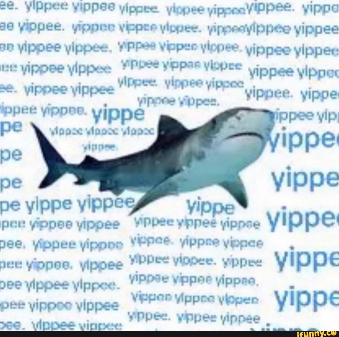 Fe. YIPPEe YIPPES yippee yippee yippaaYMPPEE. yippa yippee. yipper ...