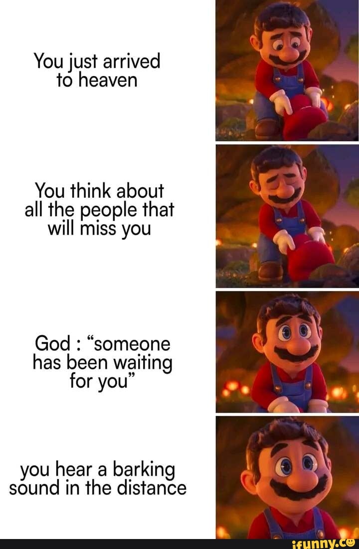 Arrived memes. Best Collection of funny Arrived pictures on iFunny