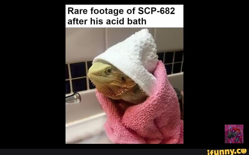 Rare footage of SCP-682 after his acid bath - iFunny