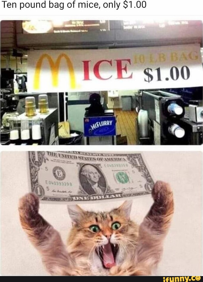 Wolf Wildzord Hammerhead Shark Wildzord Alligator Wildzord - iFunny