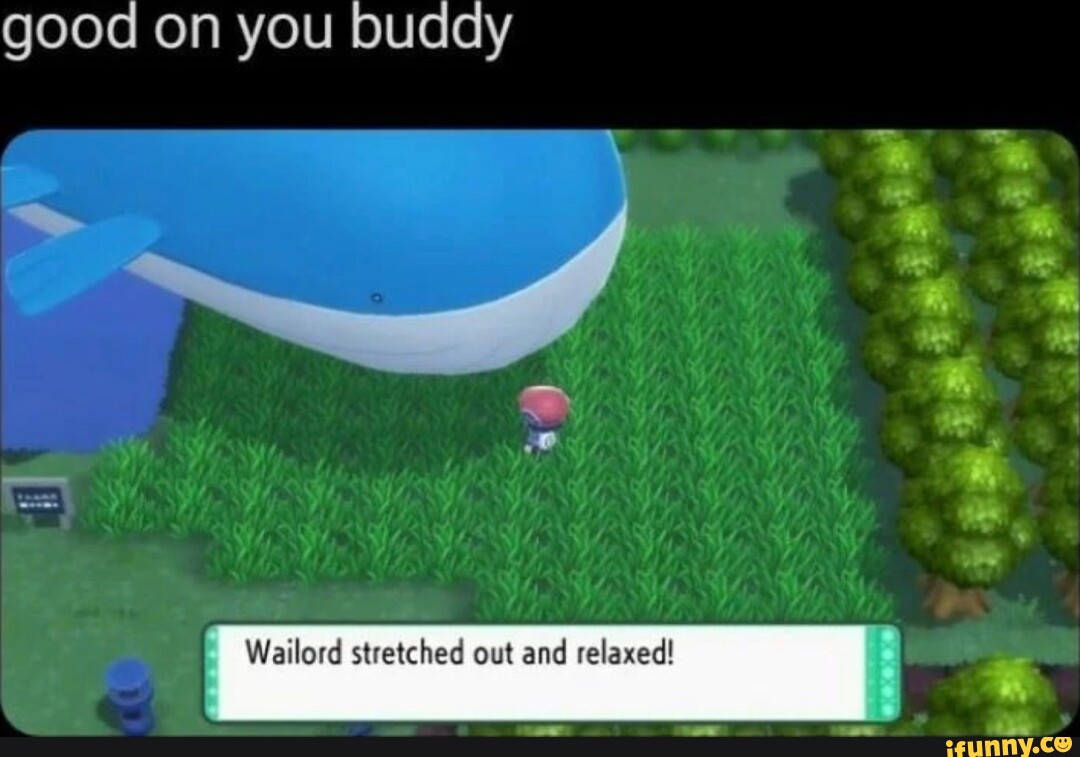 Wailord memes. Best Collection of funny Wailord pictures on iFunny