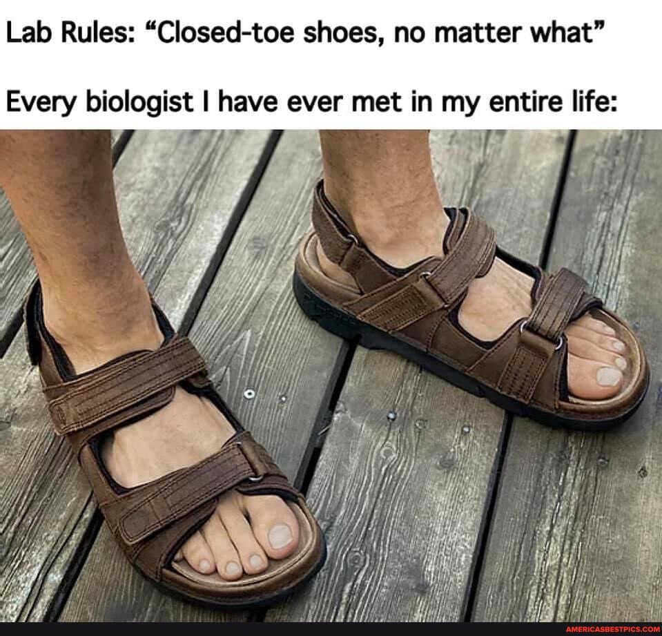 Lab Rules: "Closed-toe shoes, no matter what" Every biologist I have ...