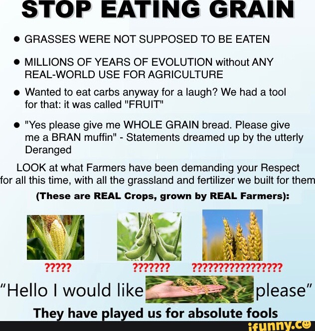 STOP EATING GRAIN GRASSES WERE NOT SUPPOSED TO BE EATEN @ MILLIONS OF ...