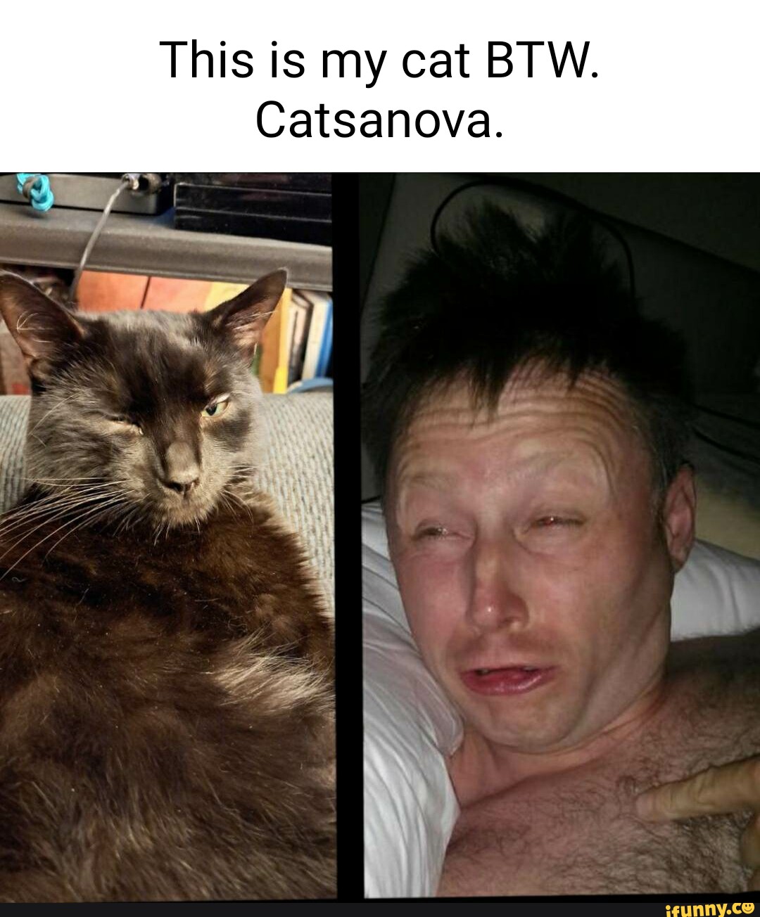 This is my cat BTW. Catsanova. - iFunny